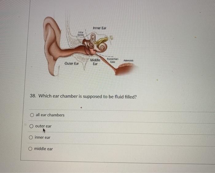 Solved 37. The fluid in this chamber is called O aqueous | Chegg.com