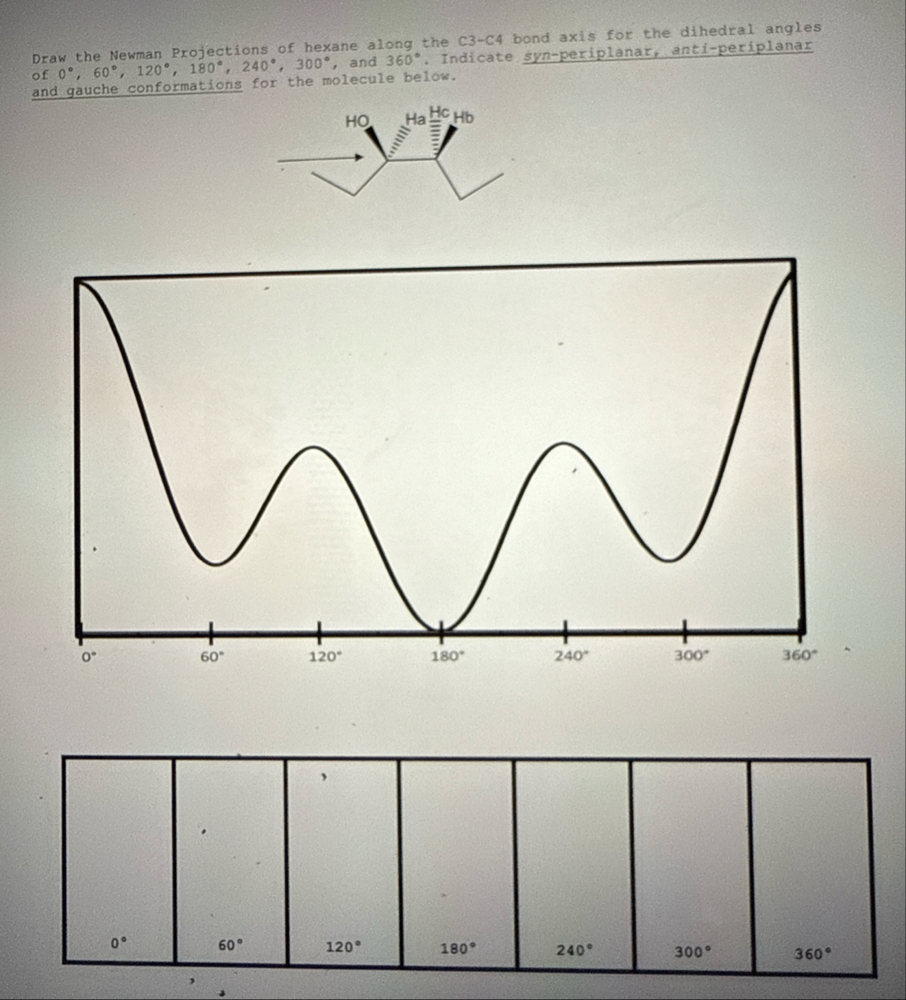 Solved Newmant Lab Projection_Summer_2025Newman Lab | Chegg.com