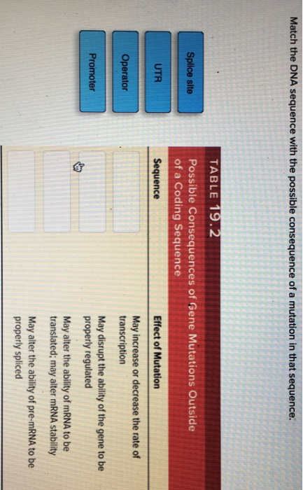 Solved Match the DNA sequence with the possible consequence | Chegg.com
