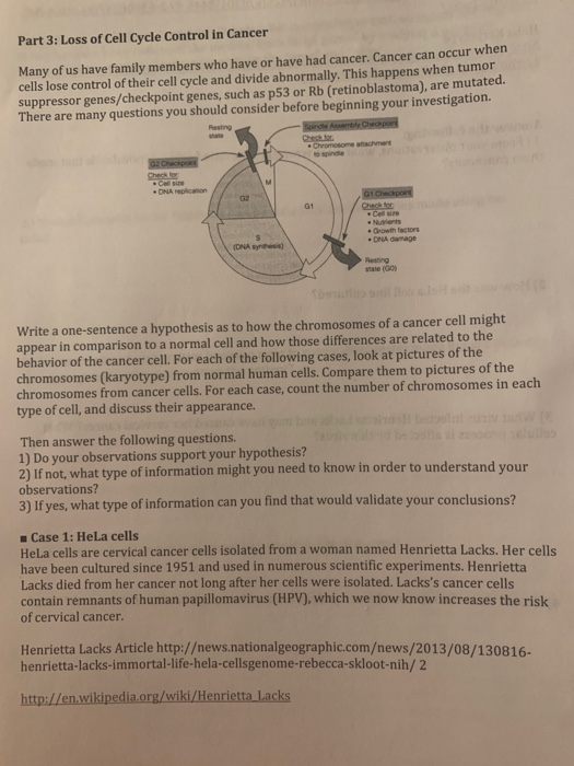 Part 3: Loss of Cell Cycle Control in Cancer Many of | Chegg.com