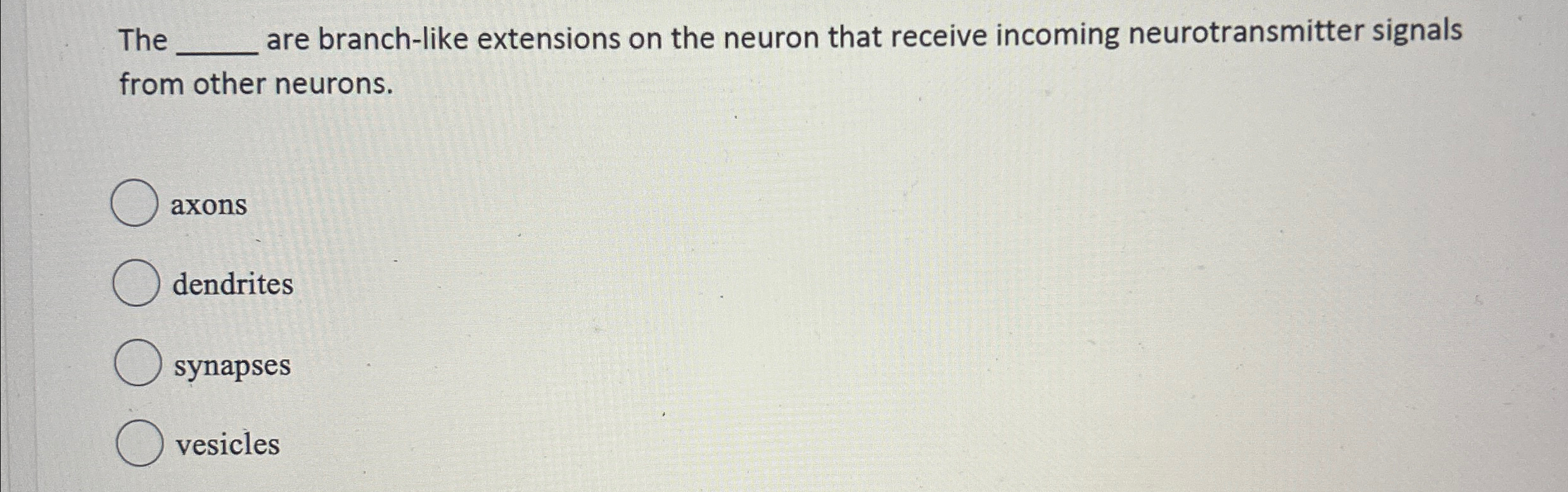 Solved The q, ﻿are branch-like extensions on the neuron that | Chegg.com