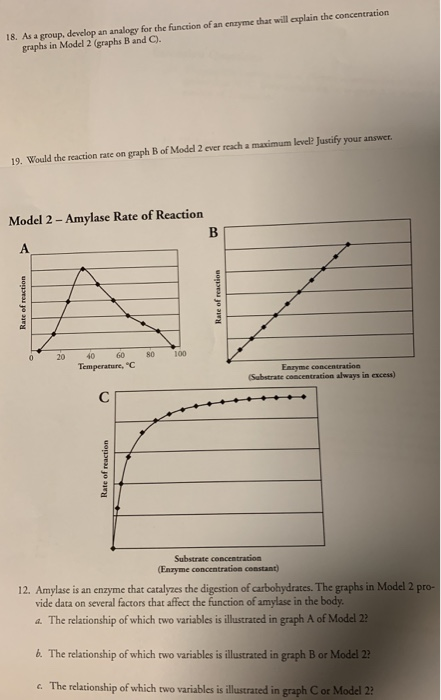 Solved 18. As a group, develop an analogy for the function | Chegg.com