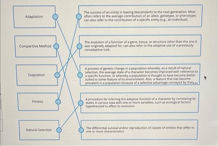 Solved Adaptation Comparitive Method Exaptation Fitness | Chegg.com