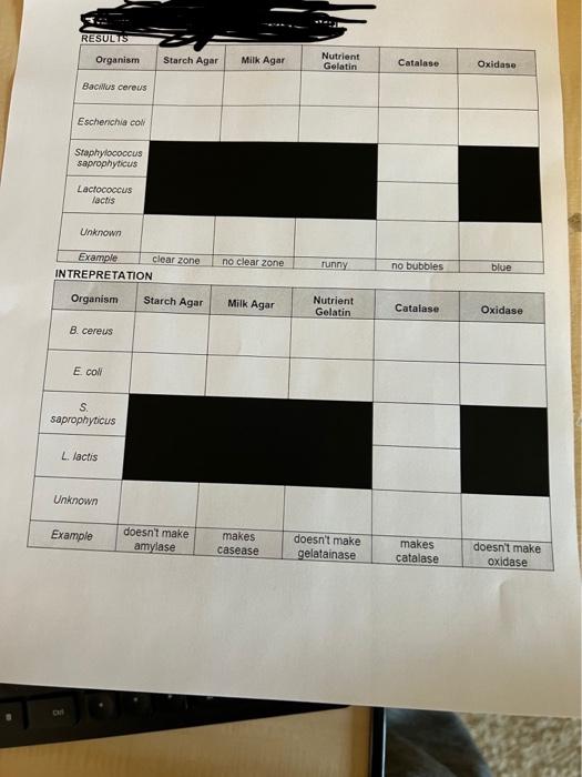 Solved RESULTS Organism Starch Agar Milk Agar Nutrient | Chegg.com