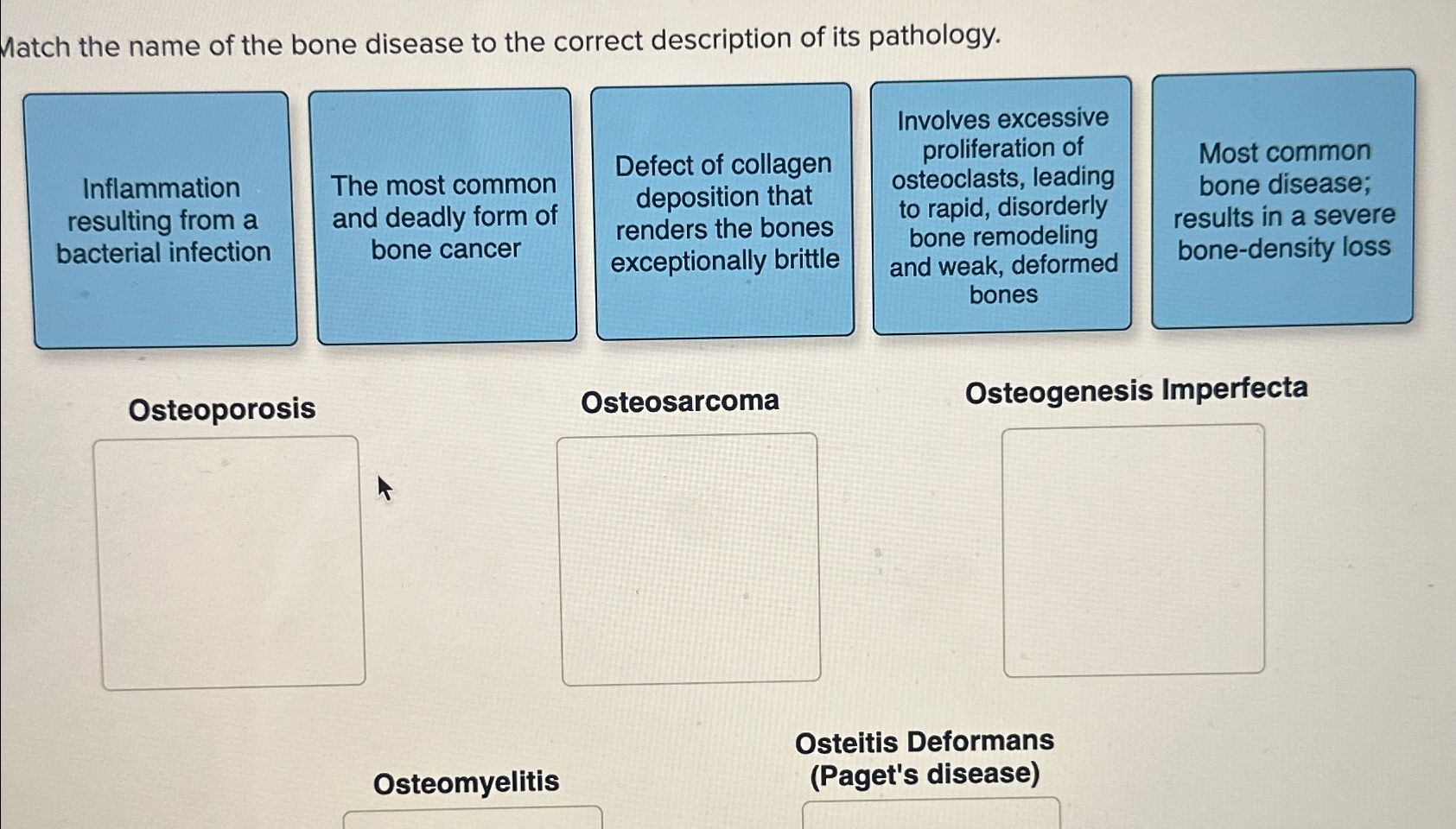 Solved Match the name of the bone disease to the correct | Chegg.com
