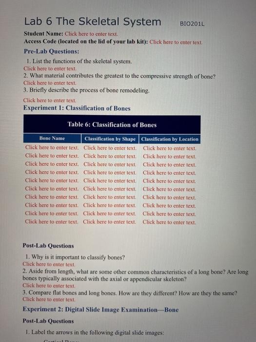 Solved Lab 6 The Skeletal System BIO 2011 Student Name: | Chegg.com