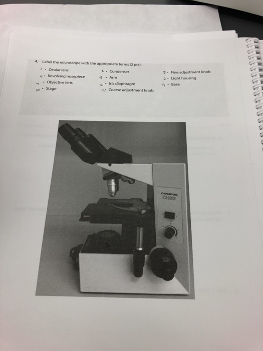 Solved WORKSHEET: EXERCISE 2 NAME SECTION DATE OUESTIONS (1 | Chegg.com