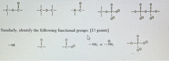 Solved Similarly, identify the following functional groups: | Chegg.com