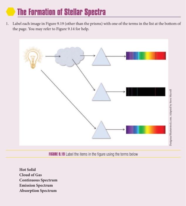 Solved The Formation of Stellar Spectra 1. Label each image | Chegg.com