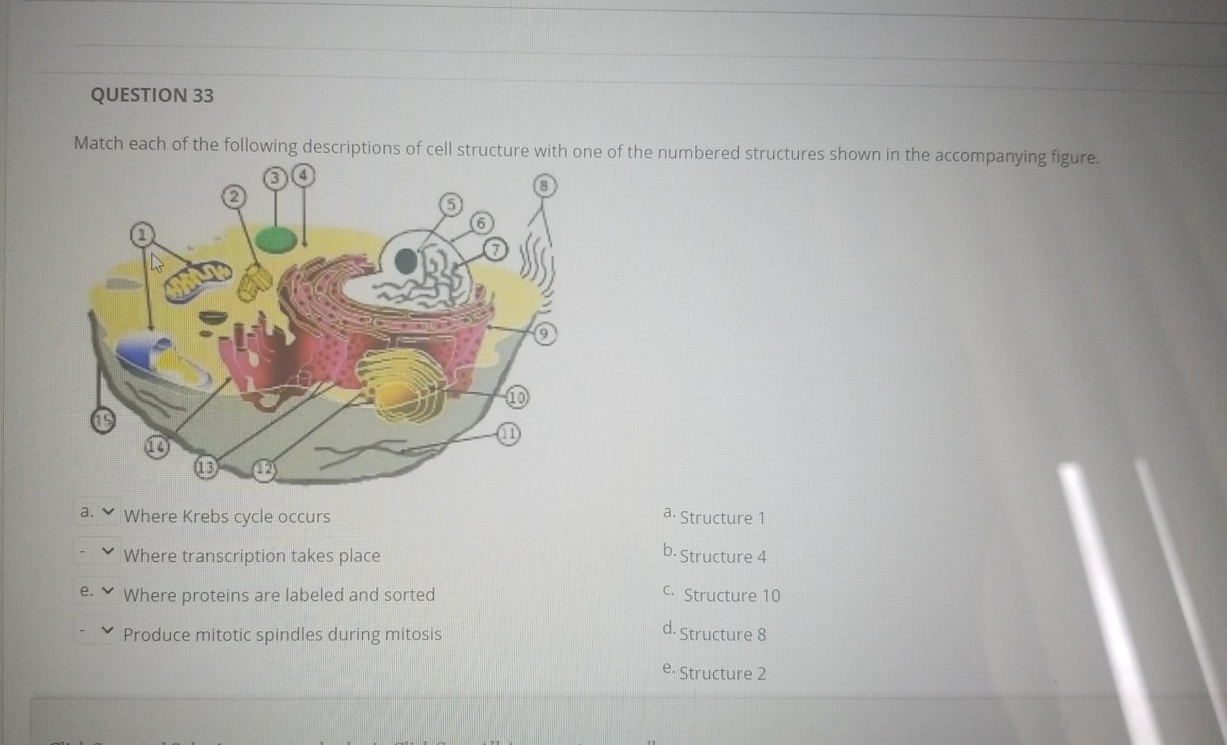 Solved QUESTION 33 Match each of the following descriptions | Chegg.com