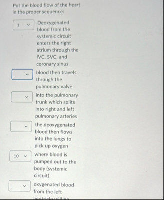 Solved Put the blood flow of the heart in the proper | Chegg.com