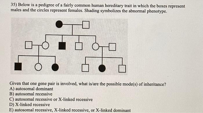 Solved 35) Below is a pedigree of a fairly common human | Chegg.com