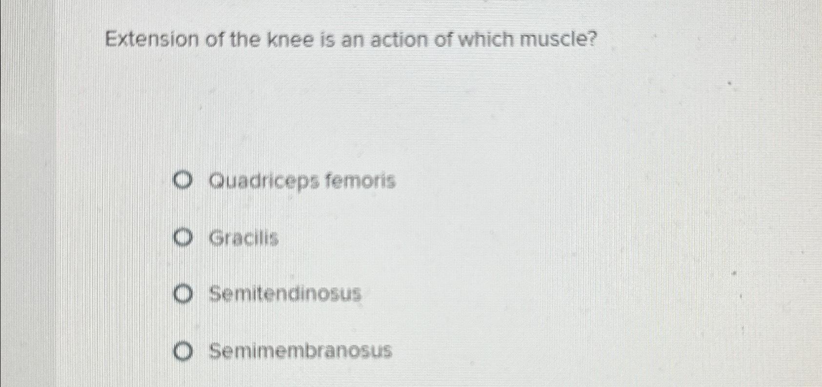 Solved Extension of the knee is an action of which | Chegg.com