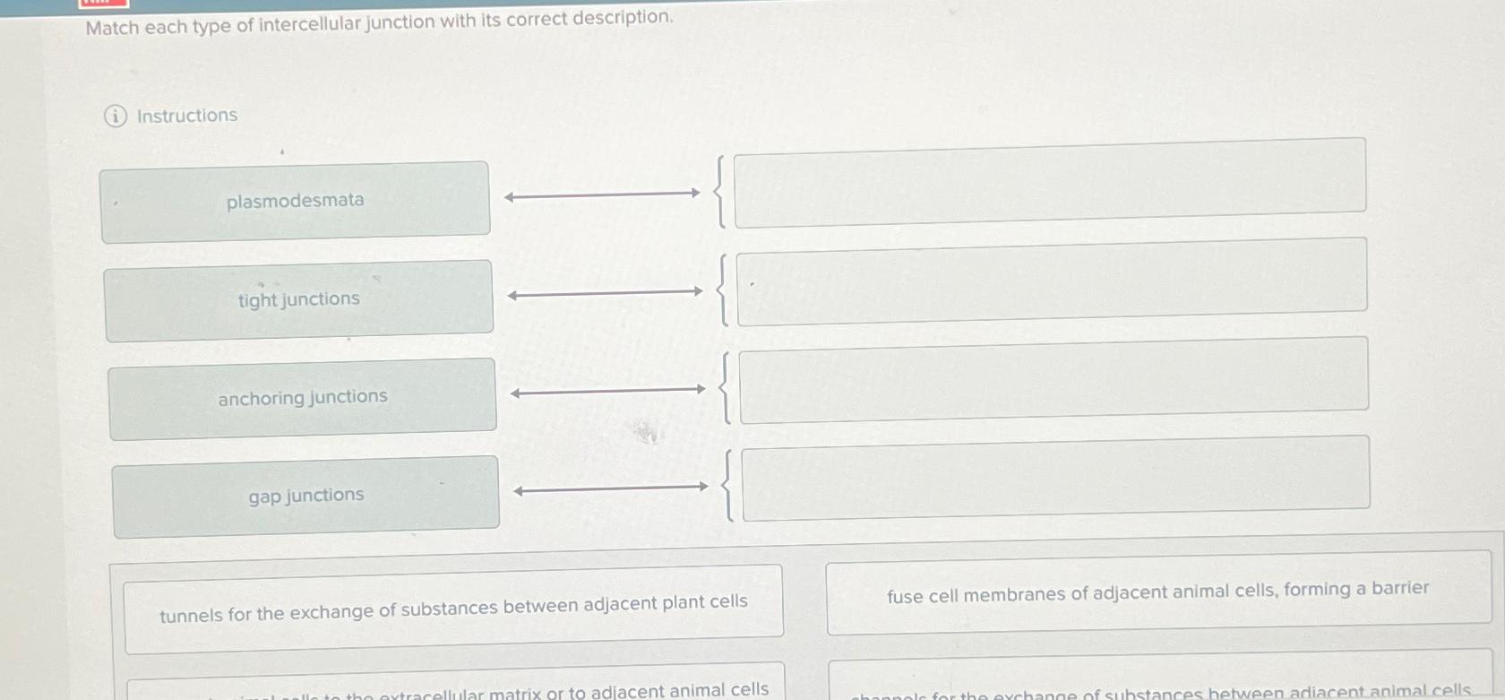 Solved Match each type of intercellular junction with its | Chegg.com