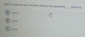 Solved Syphilus, leptospirosis, and lyme disease are caused | Chegg.com