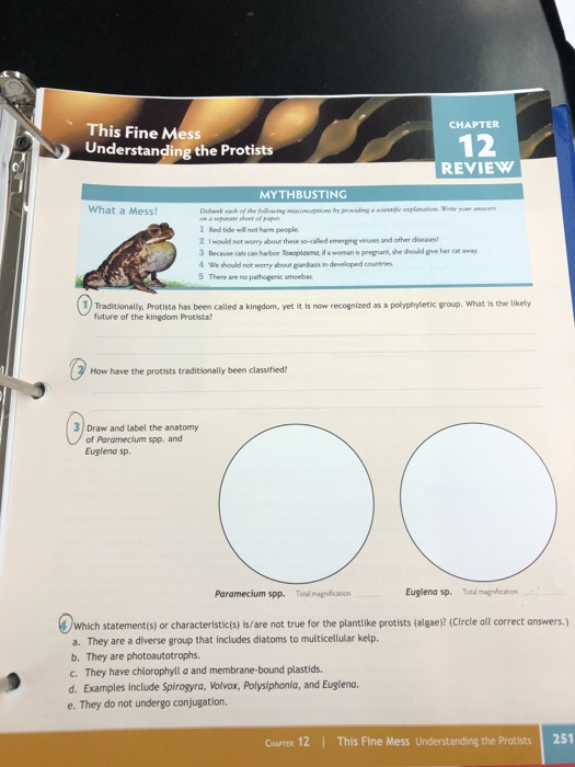 Solved CHAPTER This Fine Mess Understanding the Protists 12 | Chegg.com