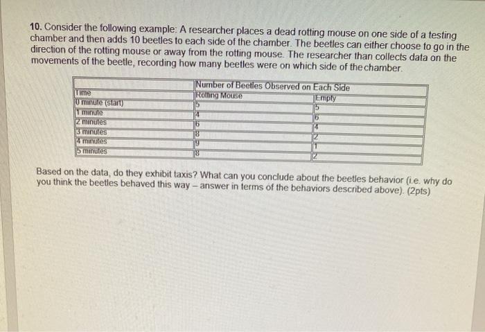 10. Consider the following example: A researcher | Chegg.com