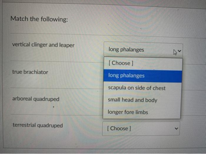 Solved vertical clinger and leaper true brachiator | Chegg.com