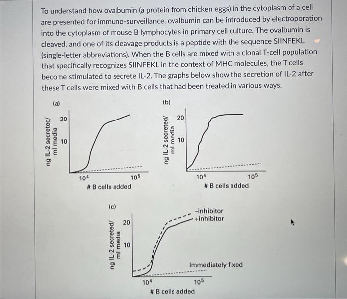 Solved To understand how ovalbumin (a protein from chicken | Chegg.com