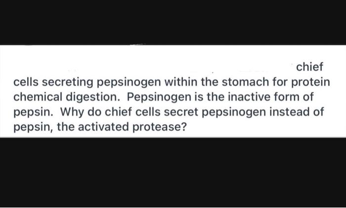 Solved chief cells secreting pepsinogen within the stomach | Chegg.com