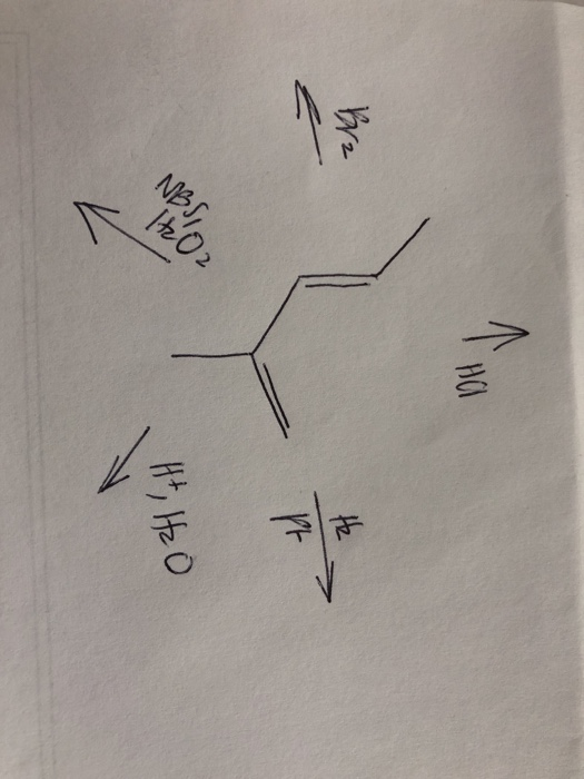 Solved Complete the reaction tree by providing the possible | Chegg.com