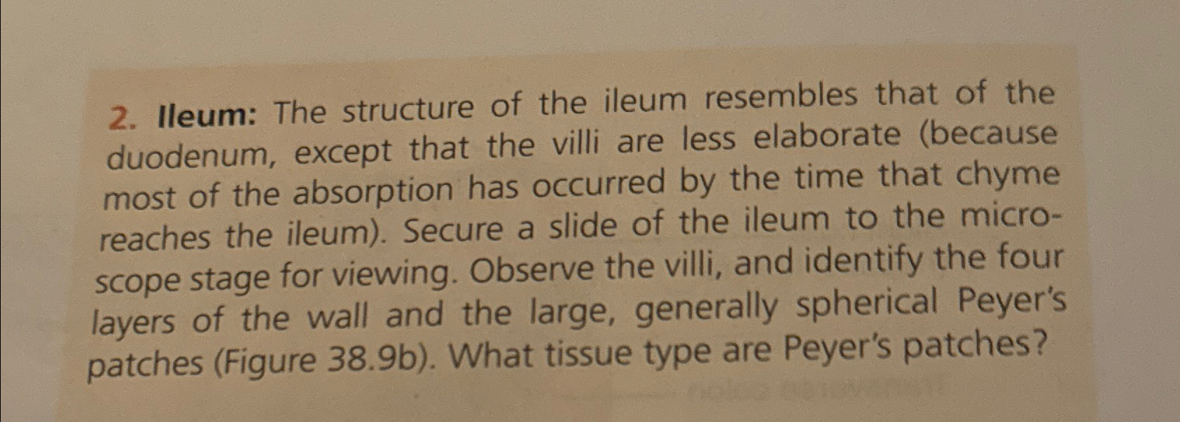 Solved Ileum: The structure of the ileum resembles that of | Chegg.com