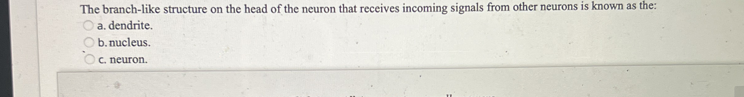 Solved The branch-like structure on the head of the neuron | Chegg.com