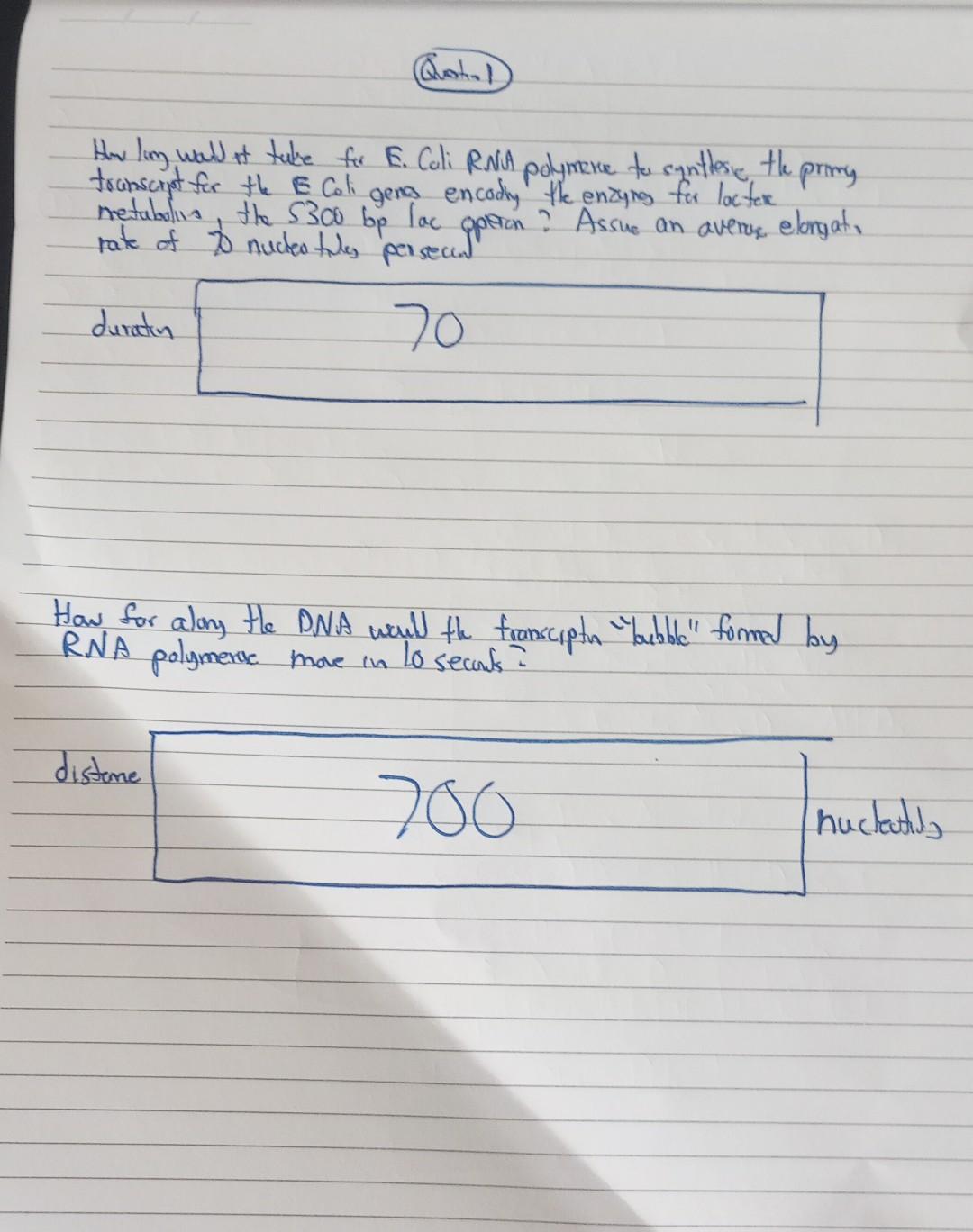 Hu limg wat) it tuke for E. Coli RNA polymere to | Chegg.com