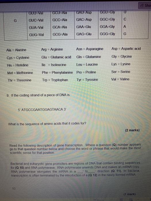 Solved 8. Shown below is a DNA strand 5 GACGTACTACGACTATGGC | Chegg.com