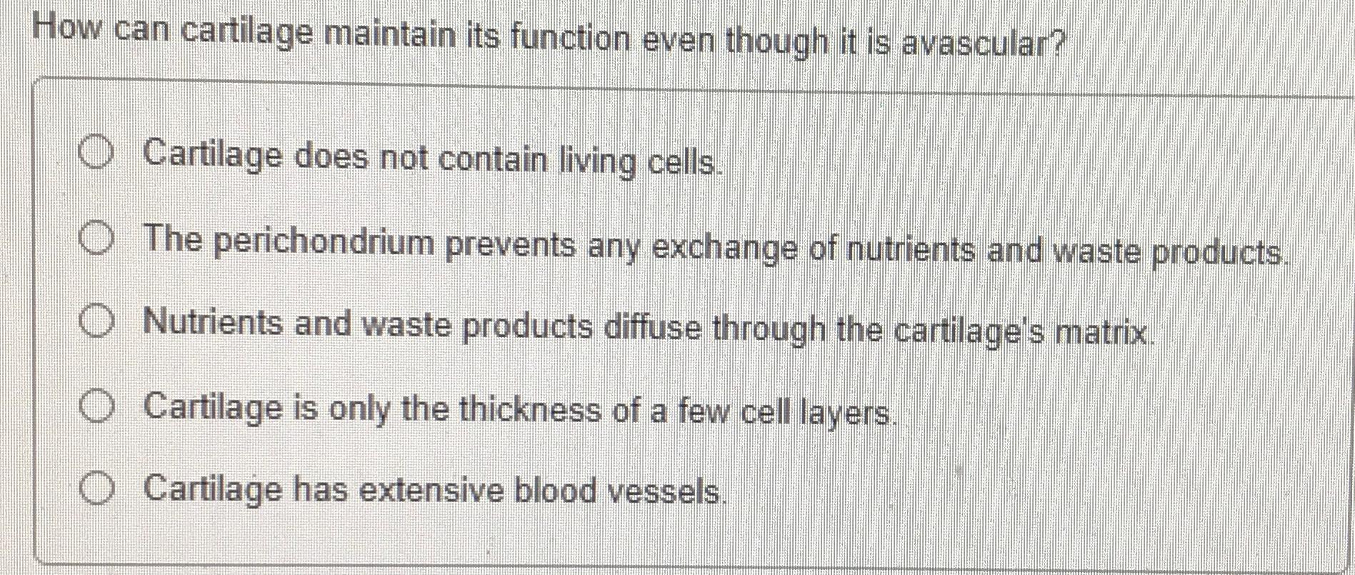Solved How can cartilage maintain its function even though | Chegg.com