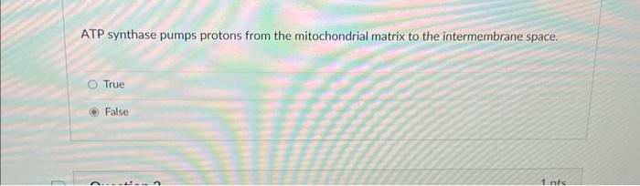Solved ATP synthase pumps protons from the mitochondrial | Chegg.com