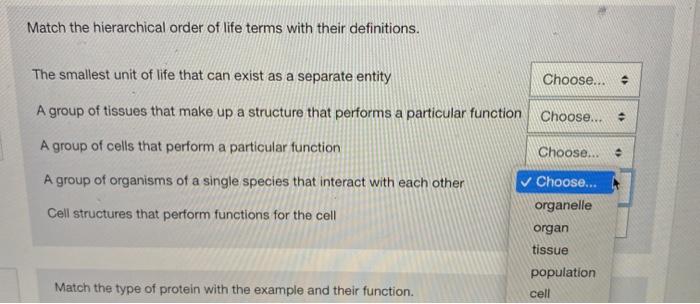 Solved Match the hierarchical order of life terms with their | Chegg.com