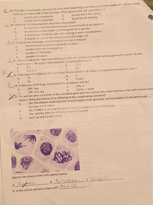Solved 18. Through a microscope, you can see a cell plate | Chegg.com