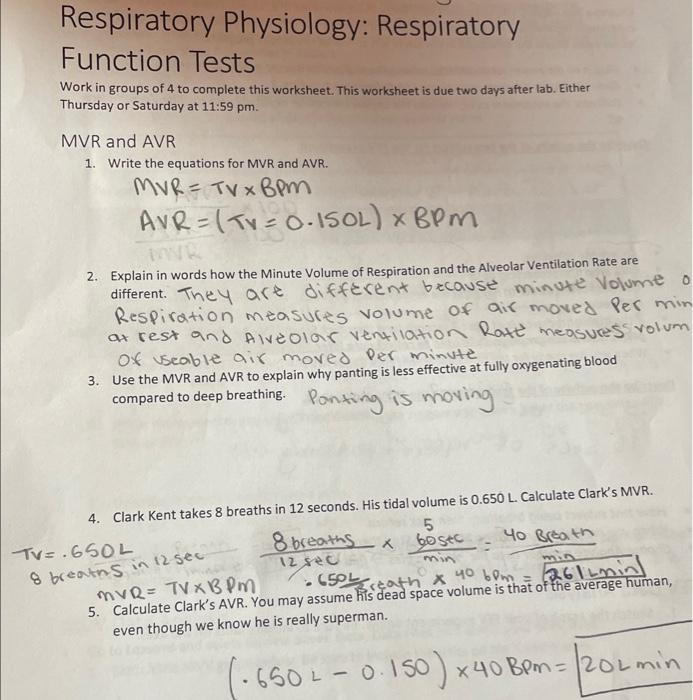 Solved Respiratory Physiology: Respiratory Function Tests | Chegg.com