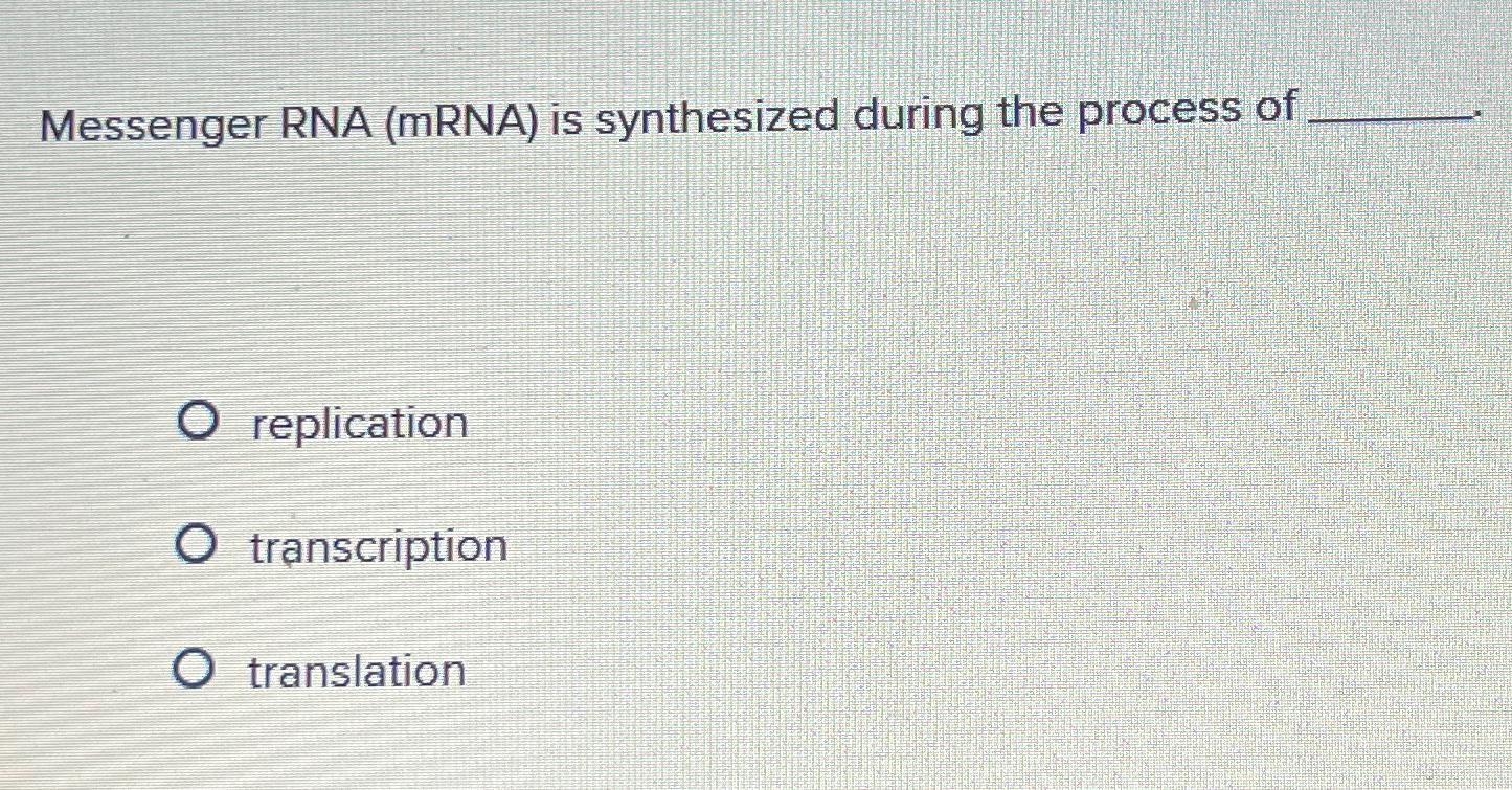 Solved Messenger RNA (mRNA) ﻿is synthesized during the | Chegg.com