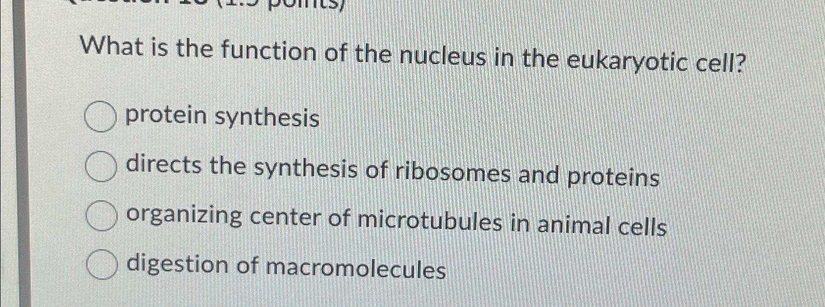 Solved What is the function of the nucleus in the eukaryotic | Chegg.com