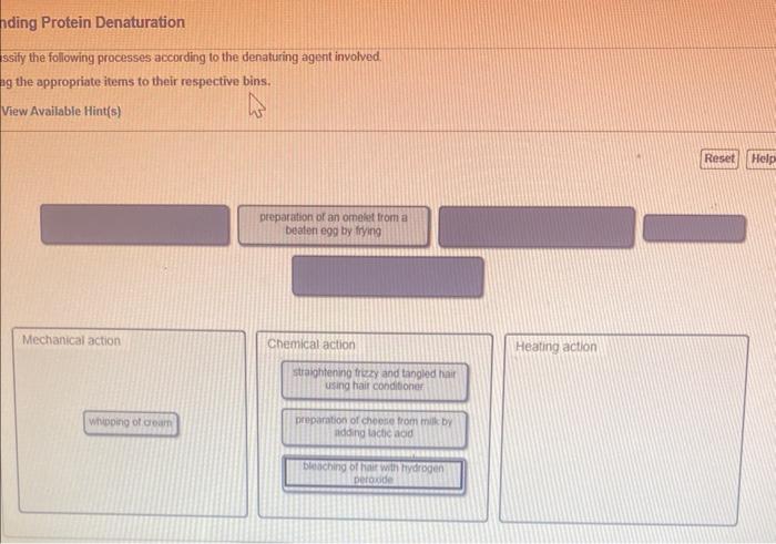 Solved ding Protein Denaturation Issify the following | Chegg.com