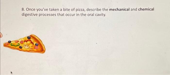 Solved Once you've taken a bite of pizza, describe the | Chegg.com