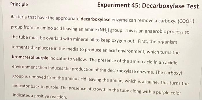 Solved Experiment 45: Decarboxylase Test Observation Color | Chegg.com