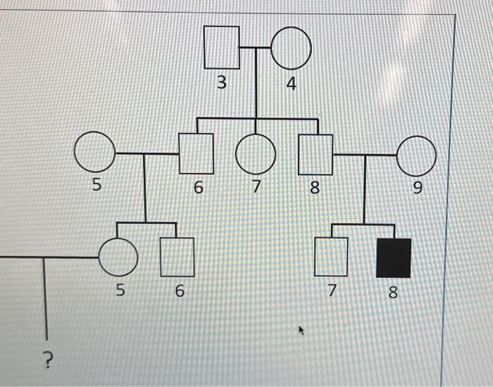 Solved In the pedigree above, individuals represented by | Chegg.com