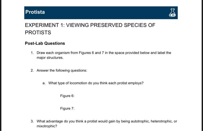 Solved Viewing Preserved Species of Protists Experiment | Chegg.com