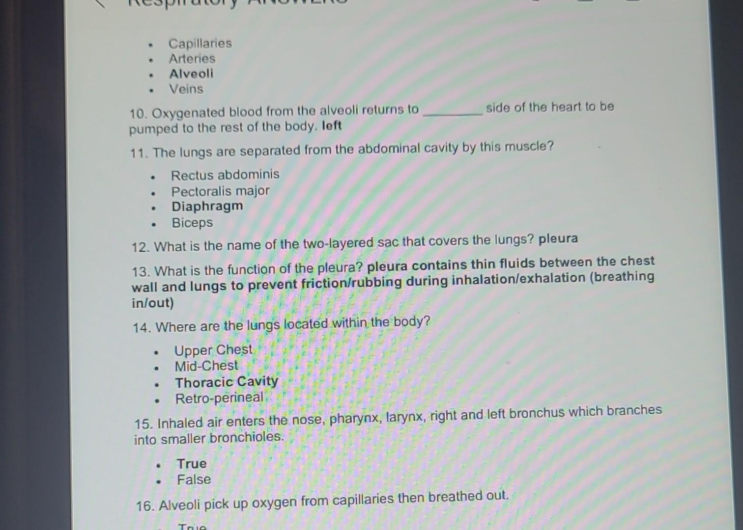 Solved - Capillaries - Arteries - Alveoli - Veins 10. | Chegg.com