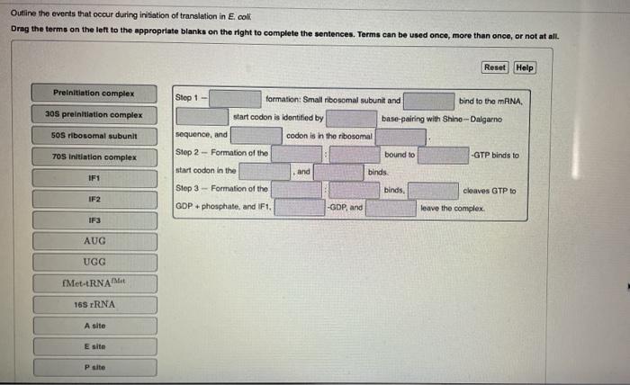 Solved Outline the events that occur during initiation of | Chegg.com