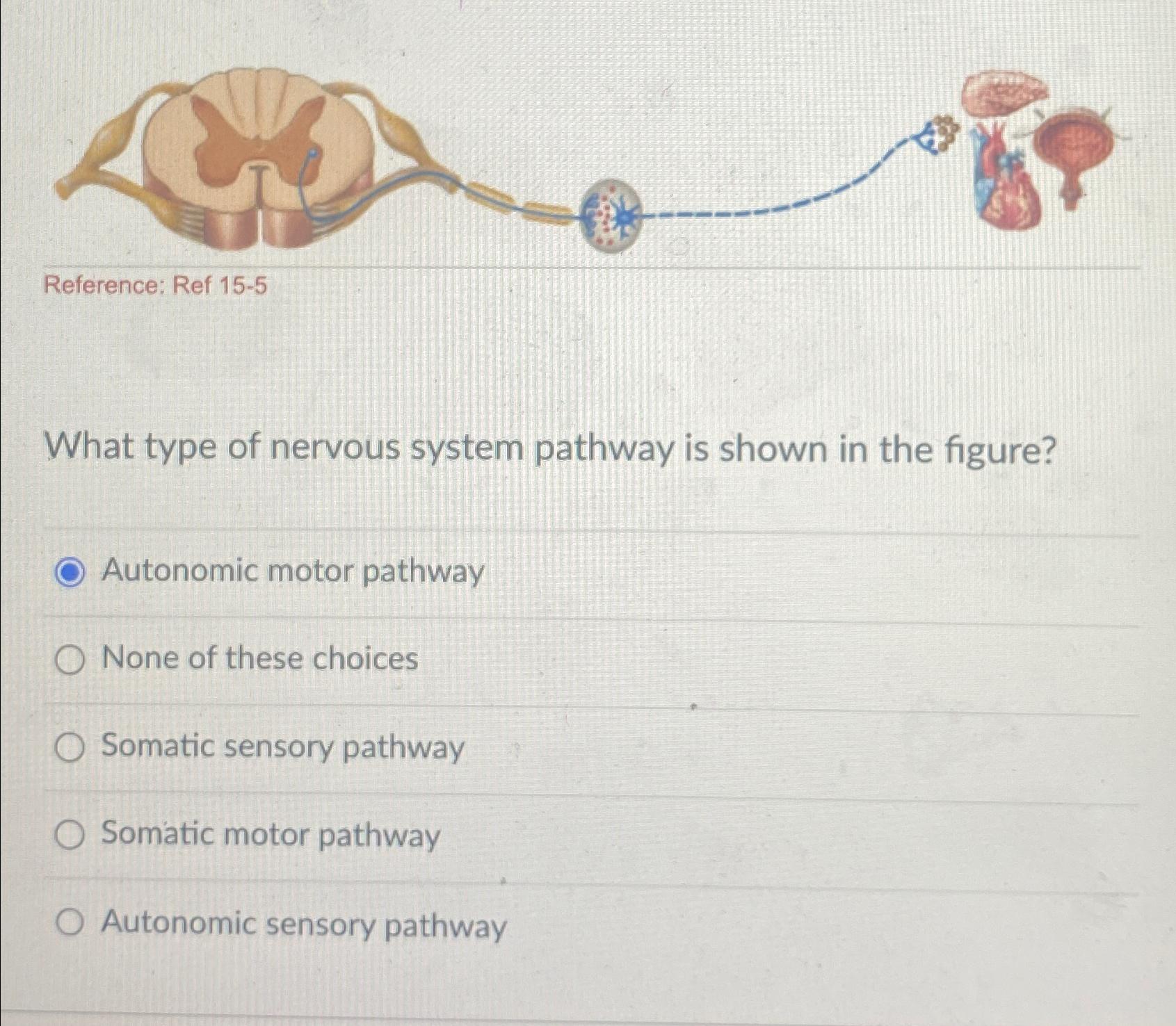 Solved Reference: Ref 15-5What type of nervous system | Chegg.com