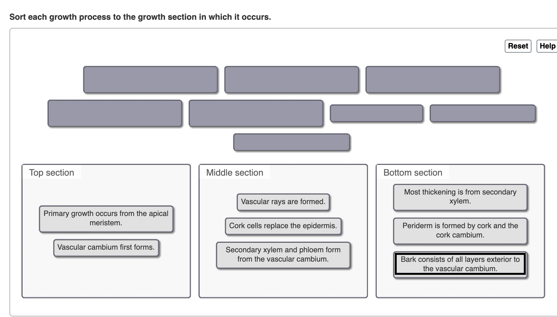 Solved Sort each growth process to the growth section in | Chegg.com