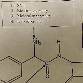 Solved 1. SN = 2. Electron geometry 3. Molecular geometry = | Chegg.com