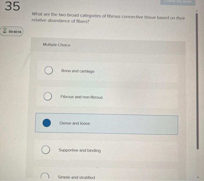 Solved Explain the emergence and purpose of the | Chegg.com
