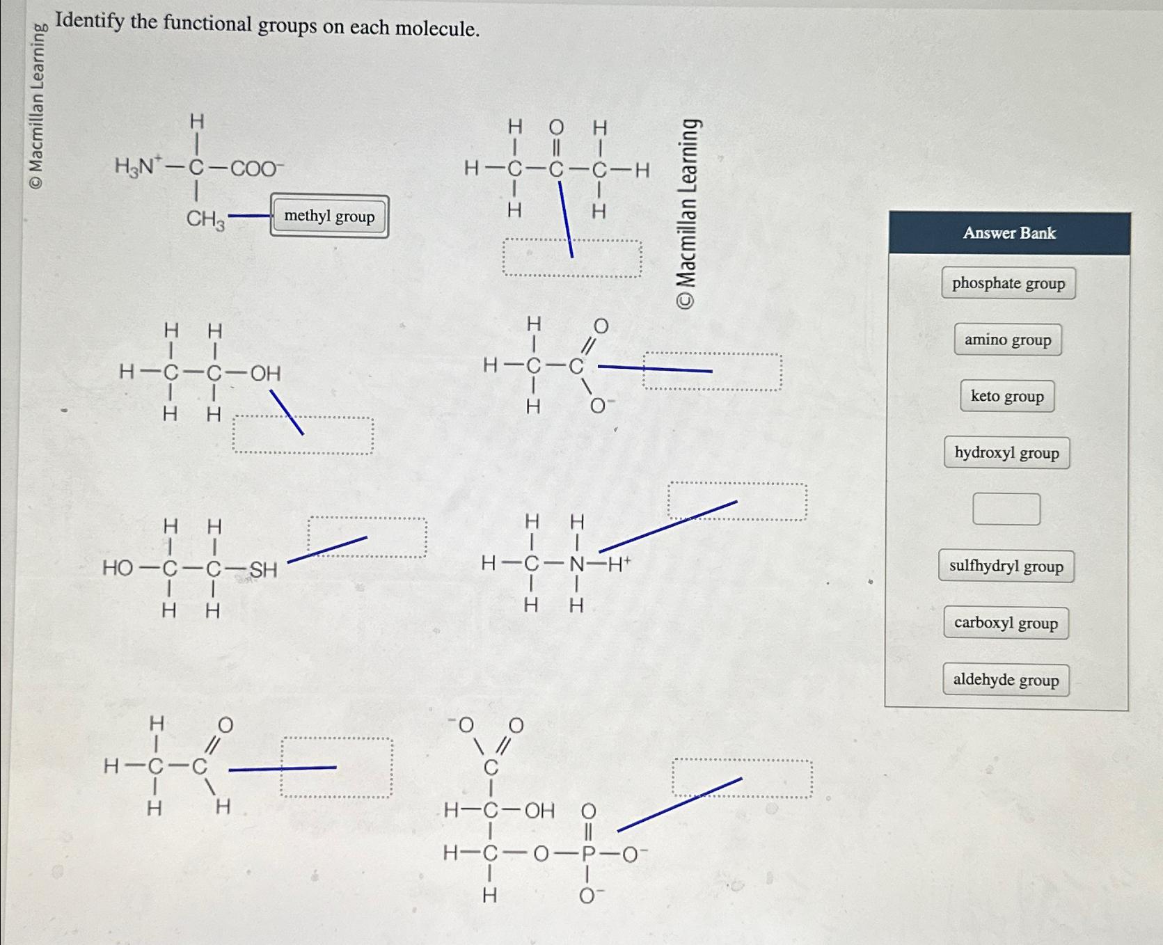 Solved Identify the functional groups on each | Chegg.com