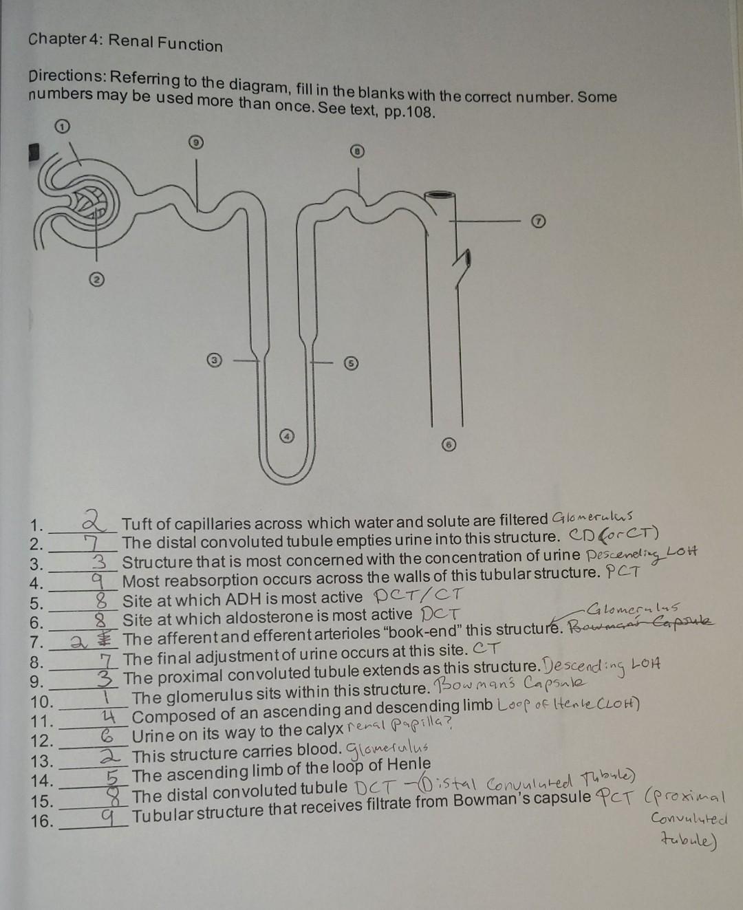 Solved Have I made any mistakes on this worksheet for | Chegg.com