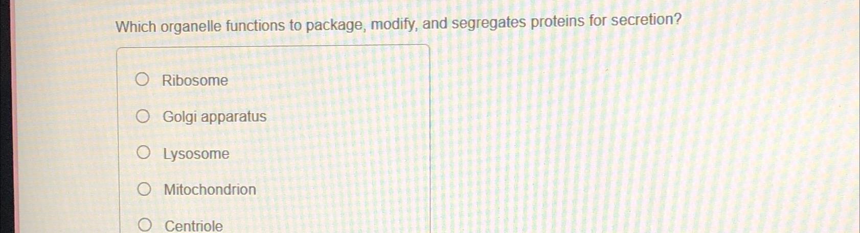 Solved Which Organelle Functions To Package Modify And 7206